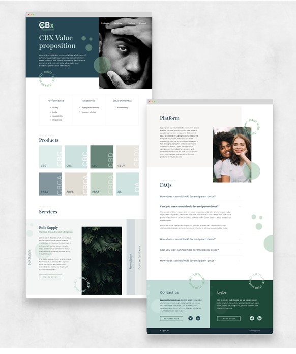 5 Web Design Trends You Need To Know | Pace Creative